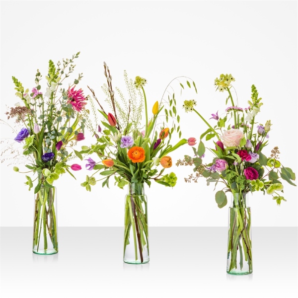 Bestel nu : Pluk verrassing!